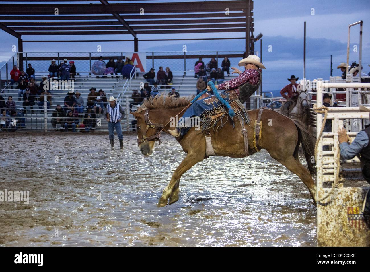 Top 60 professional rodeo cowboy association rodeos hi-res stock ...