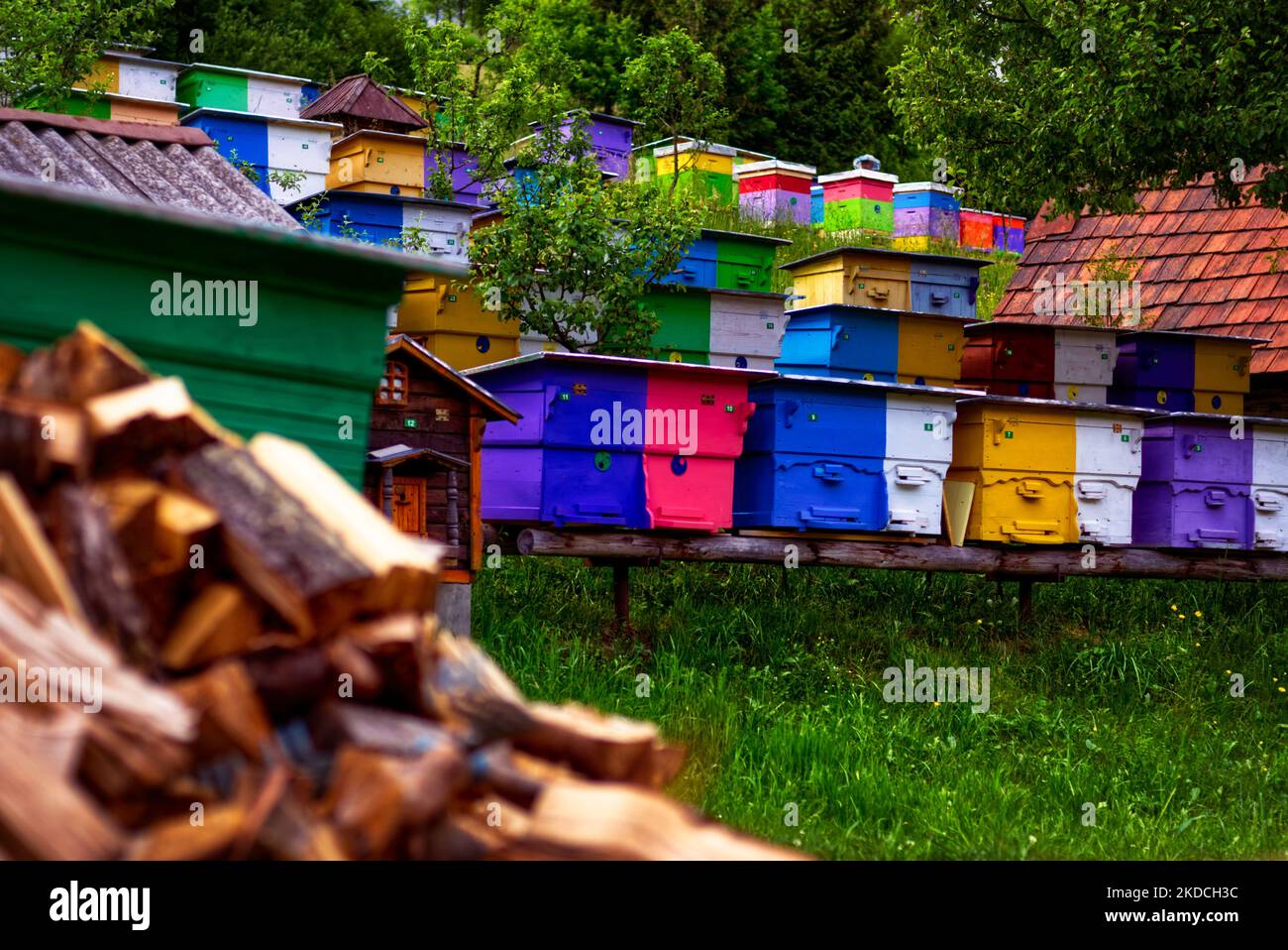 Ukraine beekeeping hi-res stock photography and images - Alamy