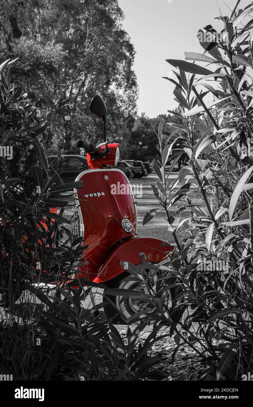 A vertical monochrome shot of the red Vespa near the bushes chilling ...