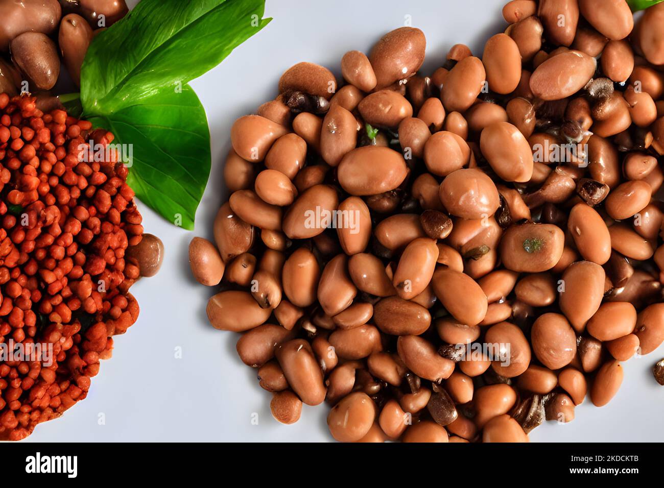 A closeup of fresh beans - perfect for food background Stock Photo - Alamy