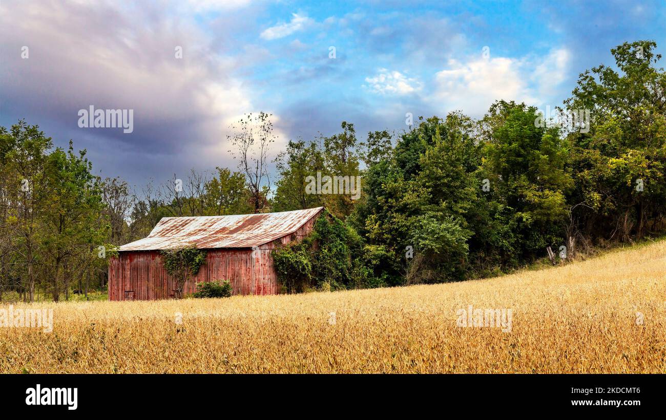 Rural scenic countryside landscape with an old barn Stock Photo - Alamy