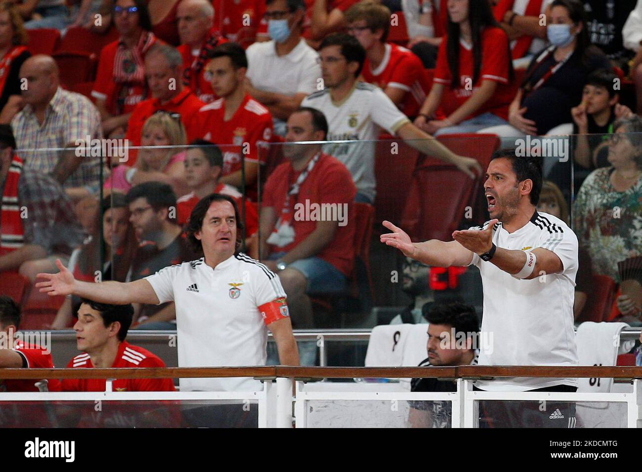 Nuno resende hi-res stock photography and images - Alamy