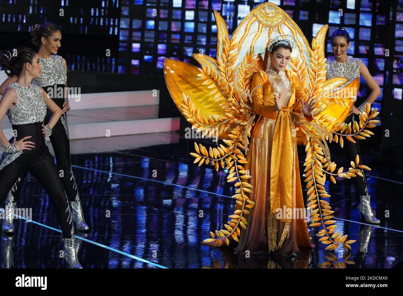 Miss vietnam phung truong tran dai hi-res stock photography and images ...