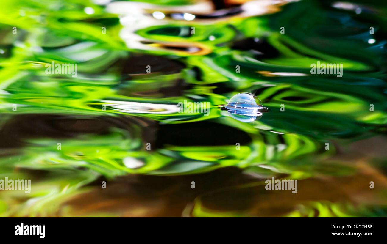 Abstract background close-up of a pond reflecting the surrounding ...