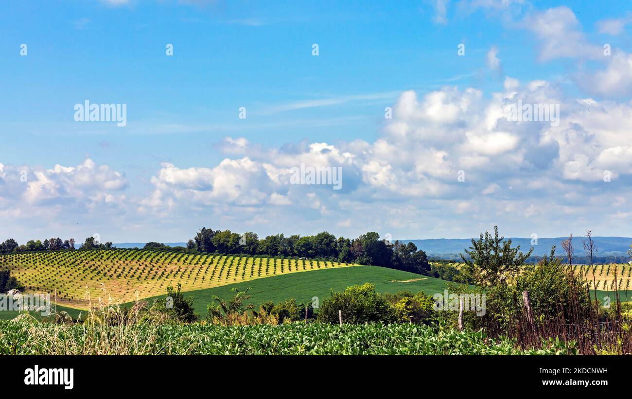 Country parklands hi-res stock photography and images - Alamy