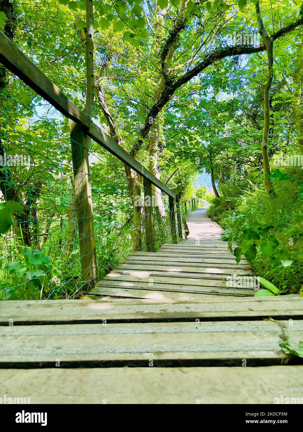 Coastal Bridge at Robin Hood's Bay, North Yorkshire Stock Photo - Alamy