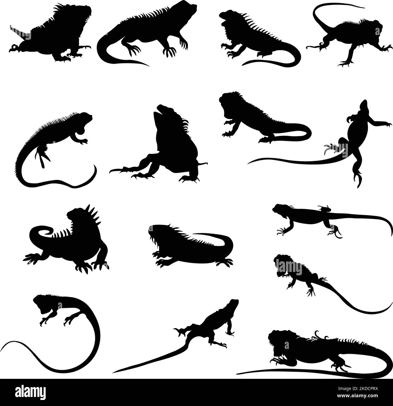 A pack of lizard silhouettes in black isolated on white background ...