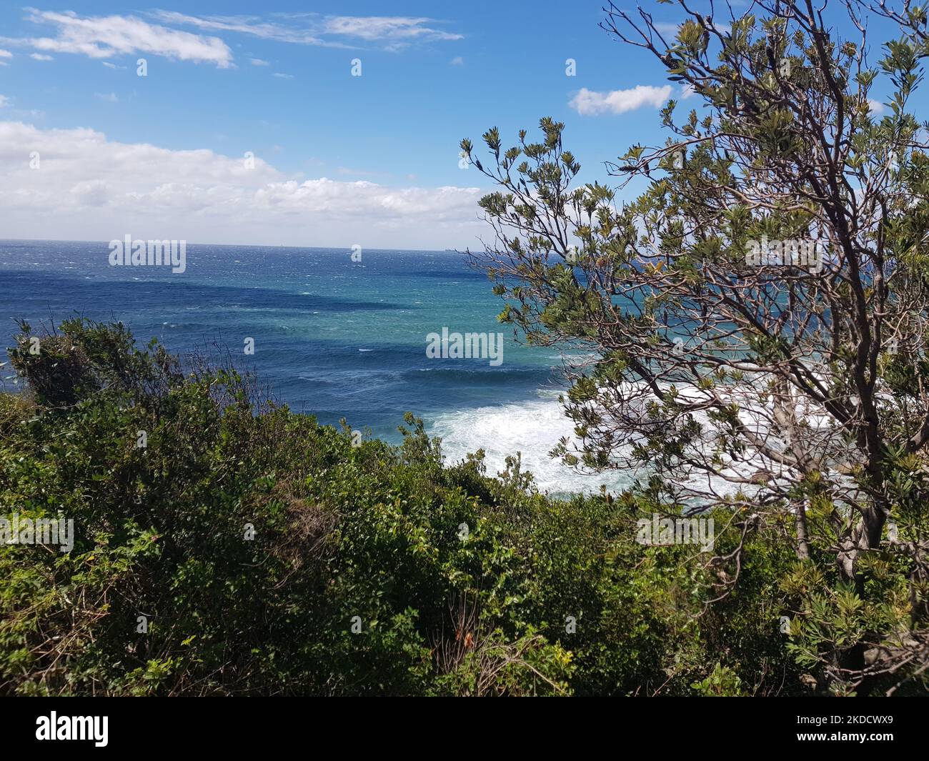 A high-angle of sea view through tress cloudy, sunlit sky background ...