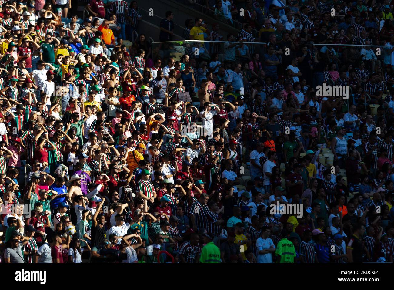 FANS of Fluminense during the match between Fluminense and Sao Paulo as ...