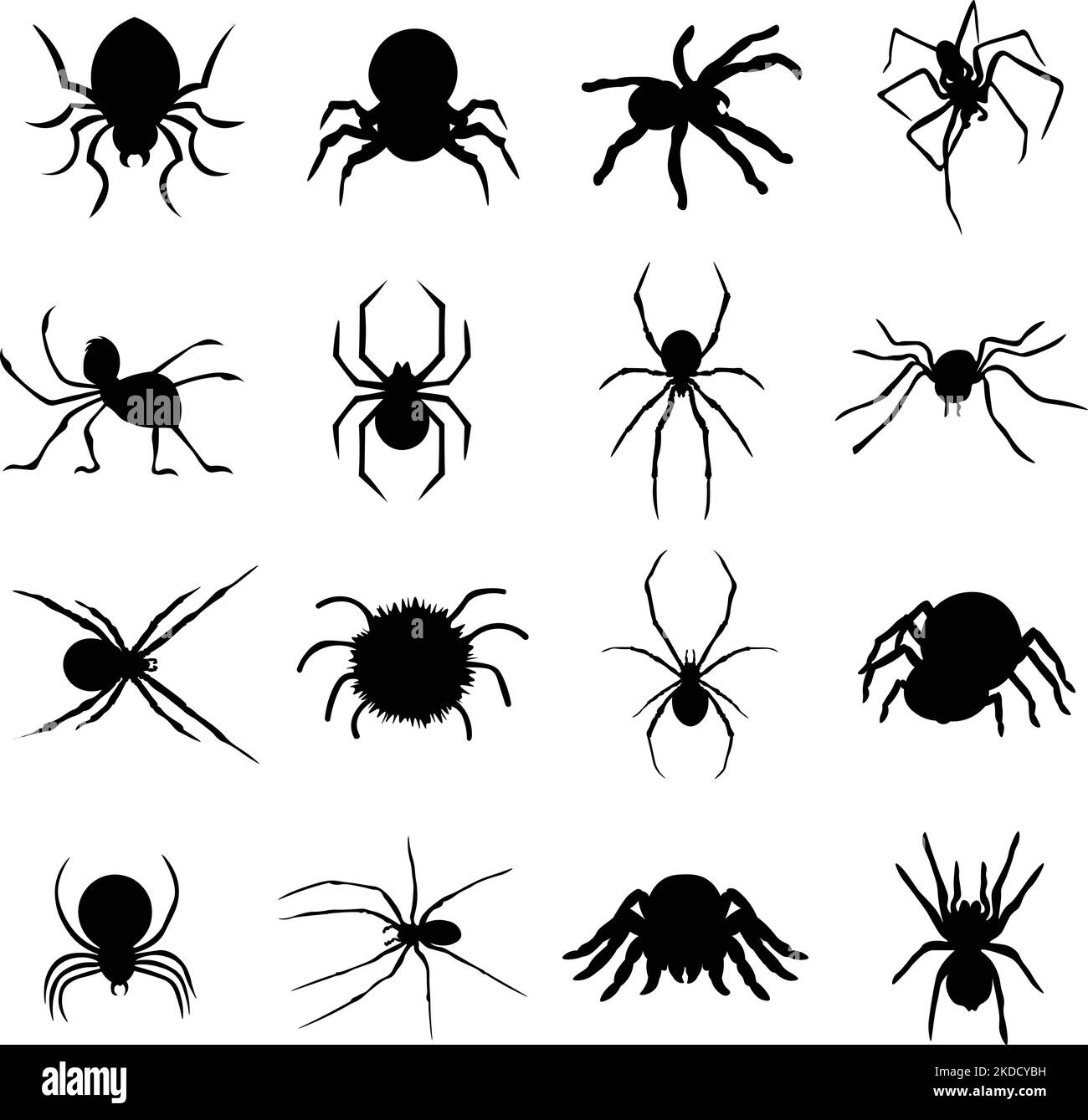 A pack of spider silhouettes on the white background Stock Vector Image ...