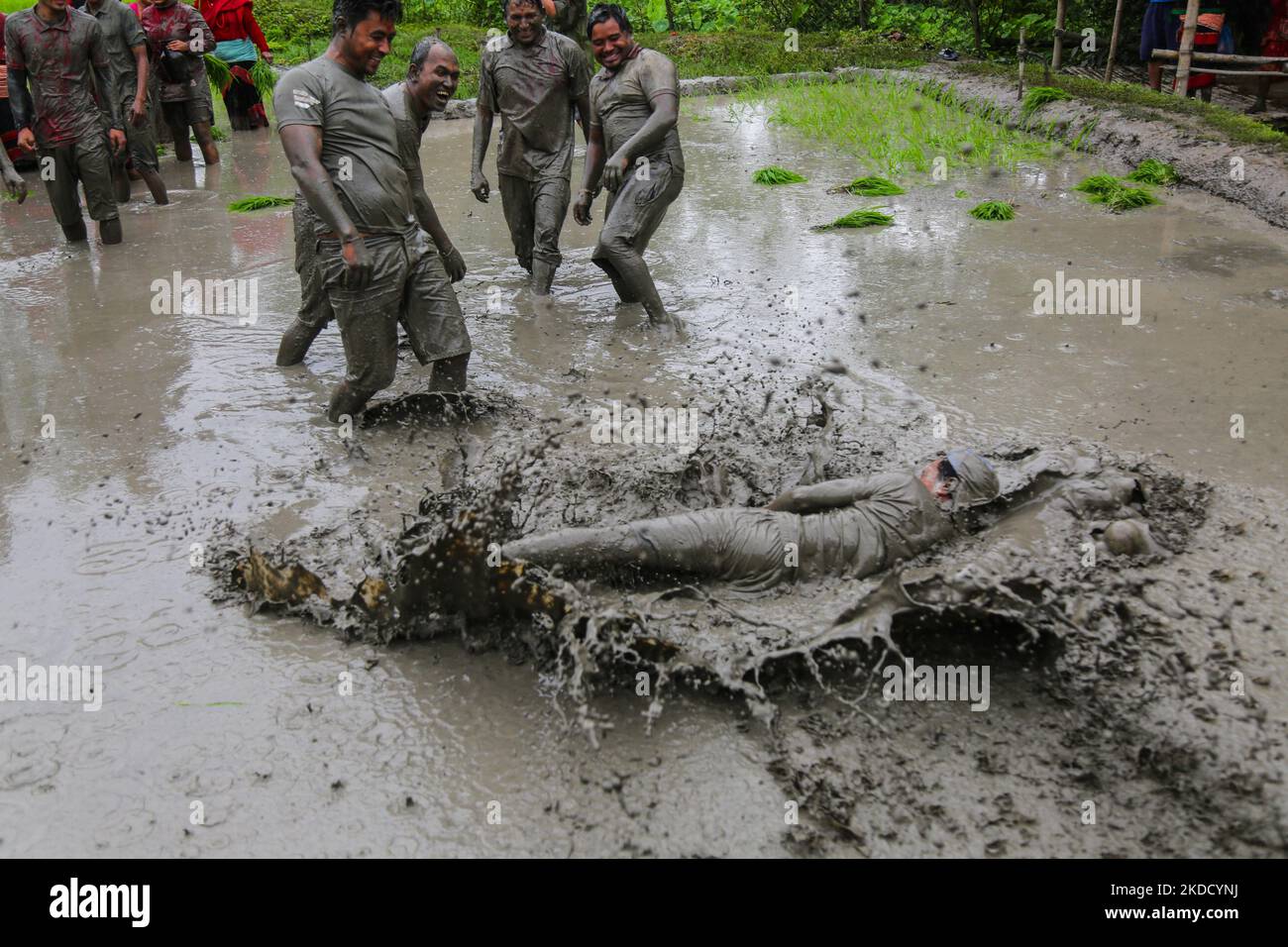 People play in the mud at the paddy field during the National Paddy Day ...