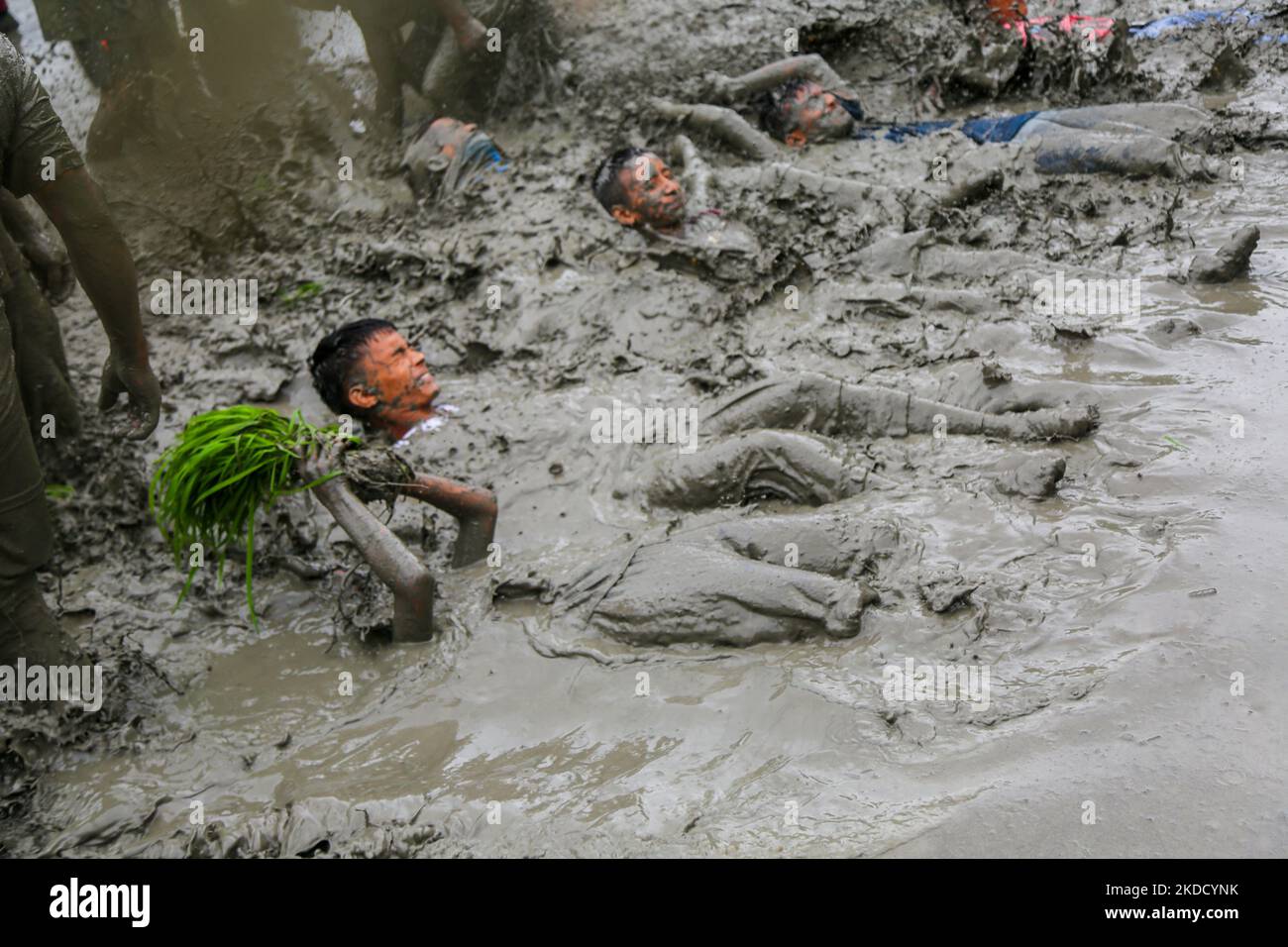 People play in the mud at the paddy field during the National Paddy Day ...