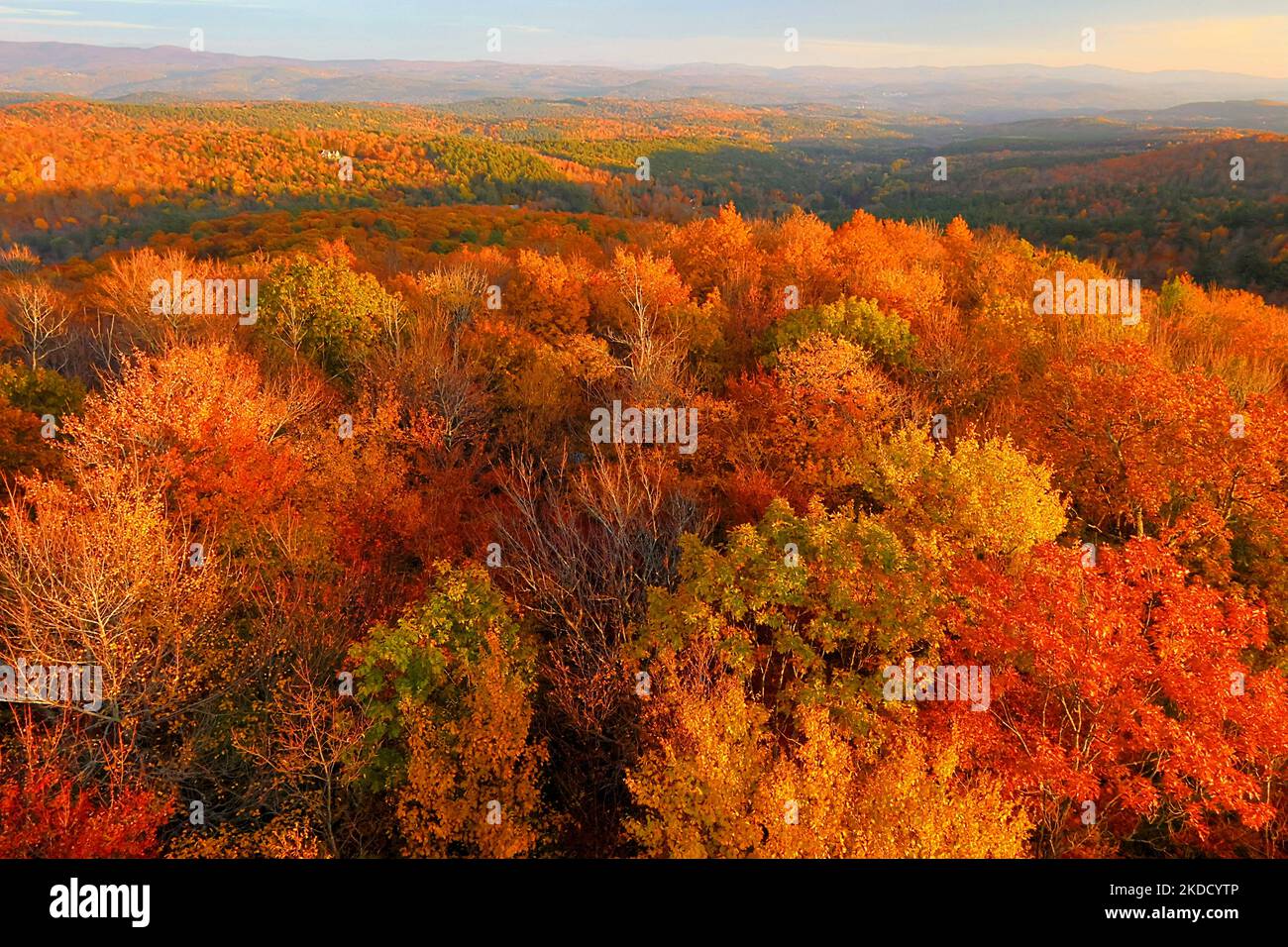 A beautiful scenery of Fall Foliage field in the Northeast United ...