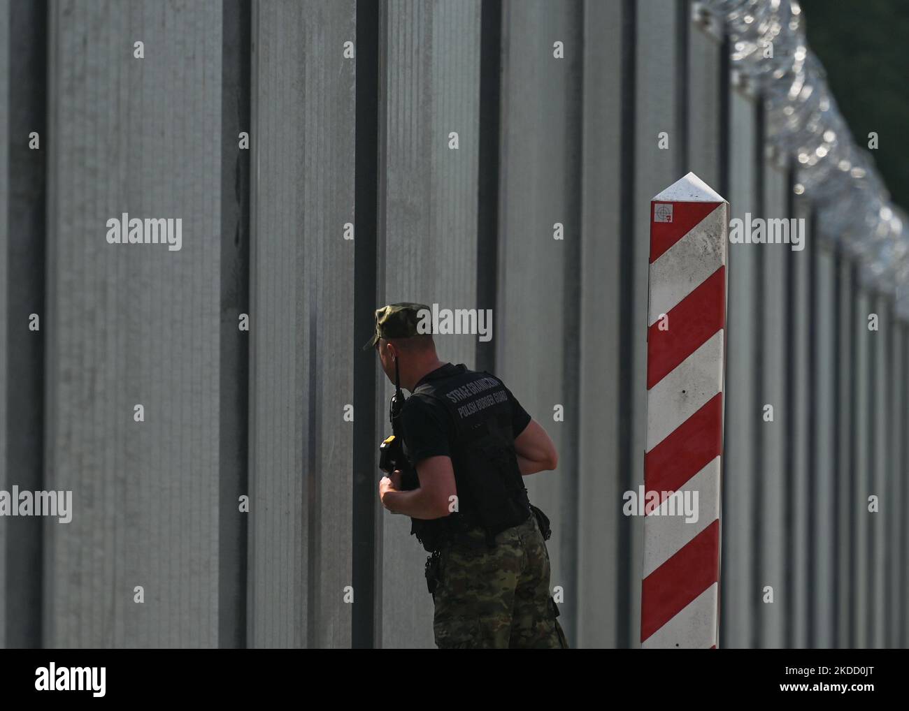 Polish border guard looks through a new fence on the Polish-Belarusian ...