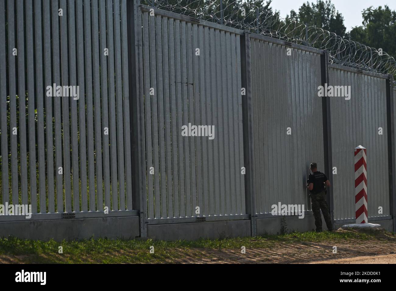 Polish border guard looks through a new fence on the Polish-Belarusian ...