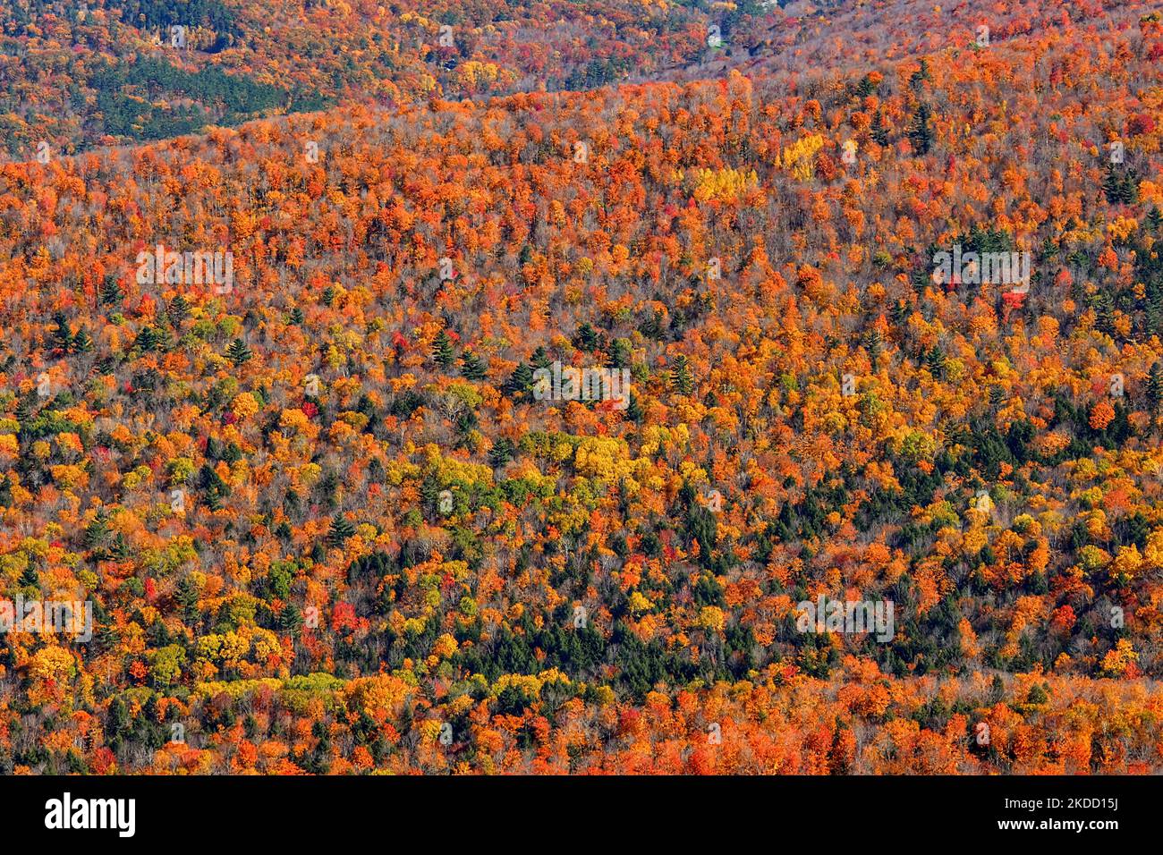 A beautiful scenery of Fall Foliage field in the Northeast United ...