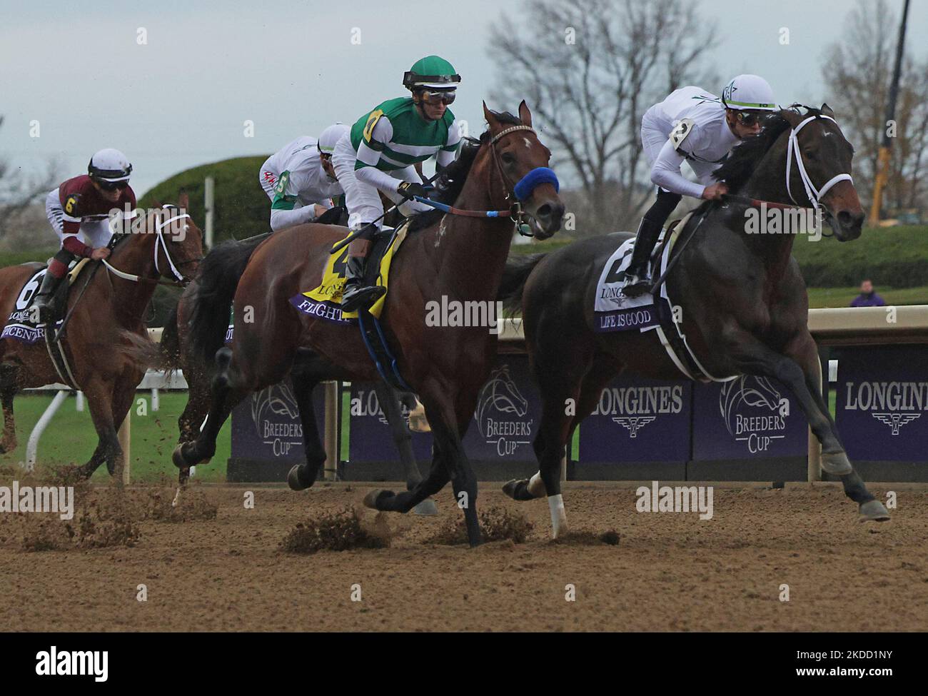 Flightline horse keeneland hi-res stock photography and images - Alamy