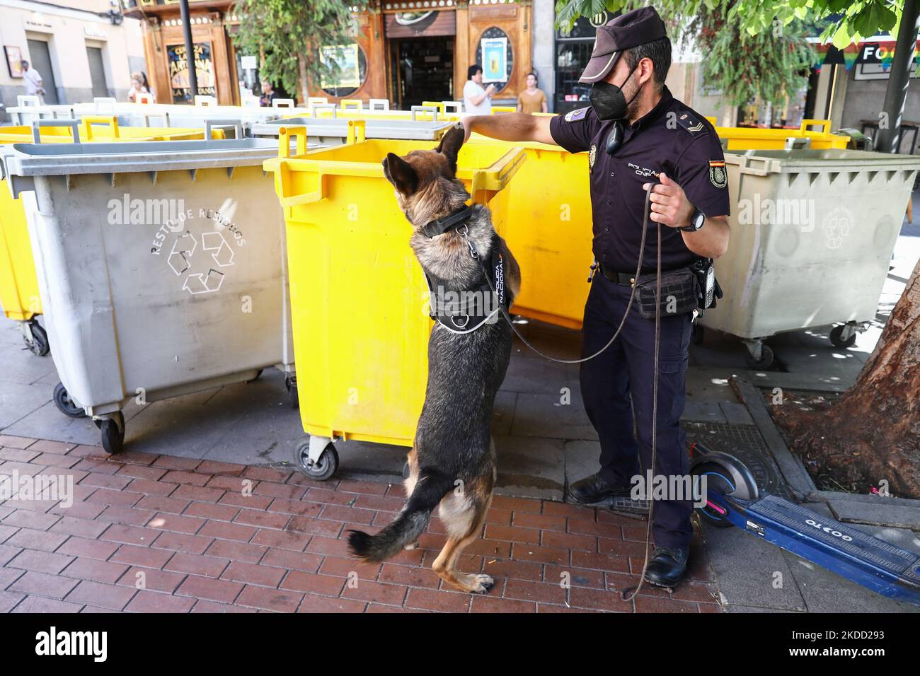 A police dog searches the area during the presentation for the media in ...