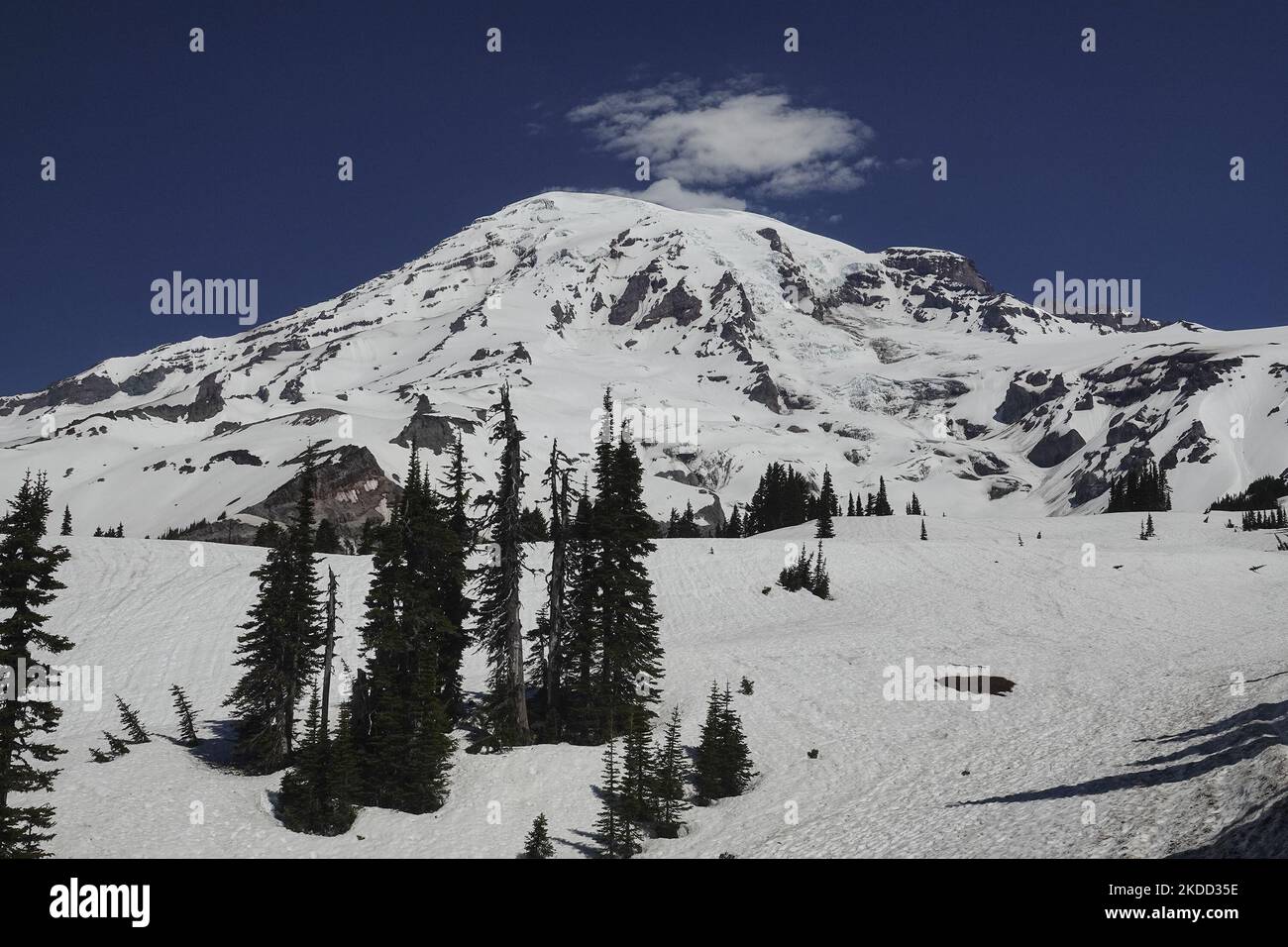Mount Rainier viewed from the Nisqually Vista Trail in Mt Rainier ...
