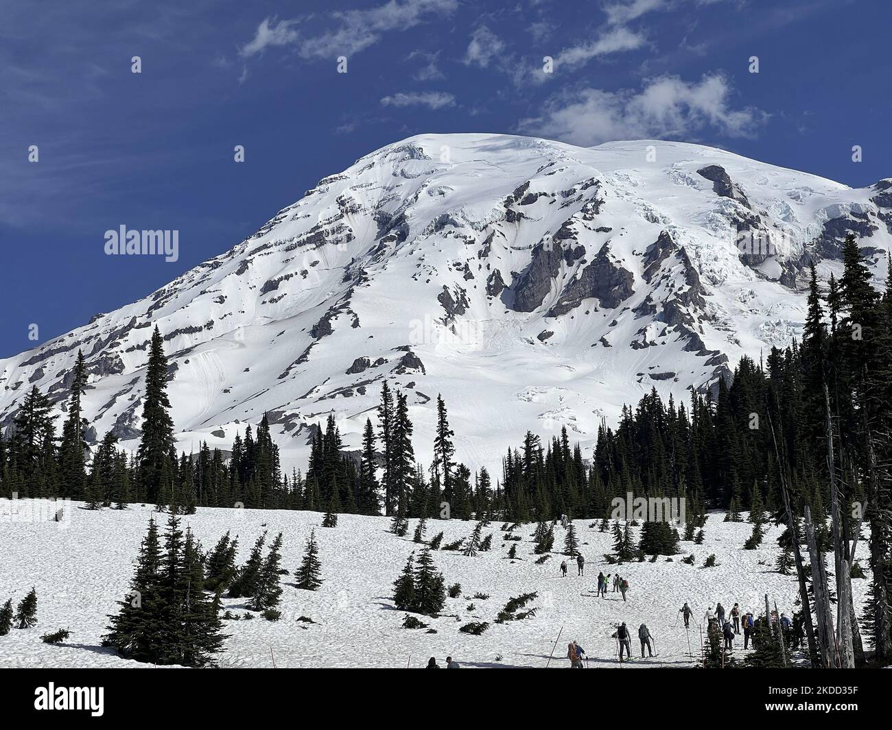 Mount Rainier viewed from the Nisqually Vista Trail in Mt Rainier ...
