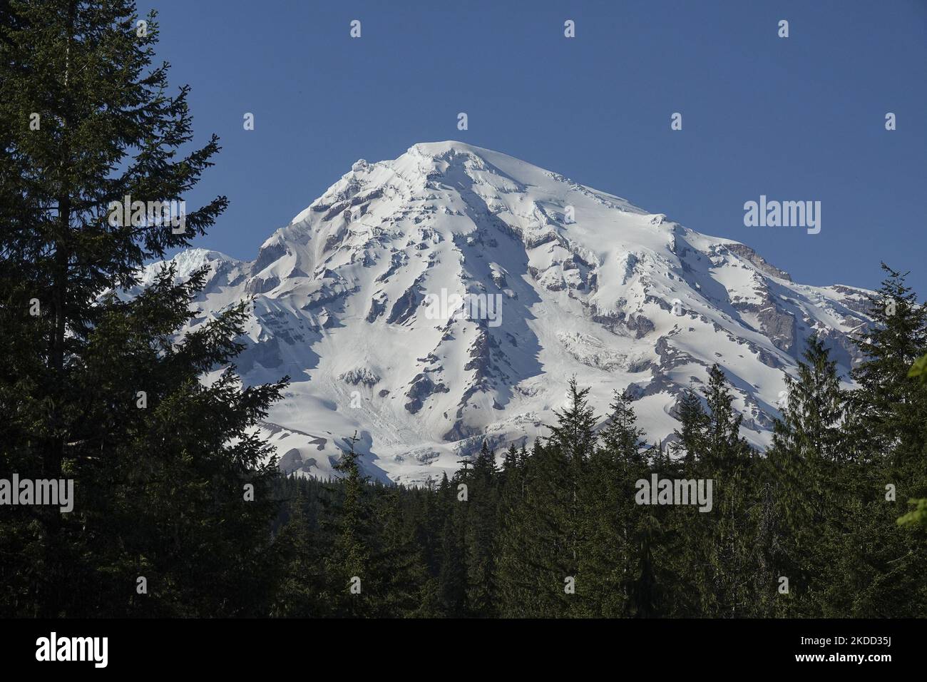 Mount Rainier viewed from Longmire in Mt Rainier National Park on ...