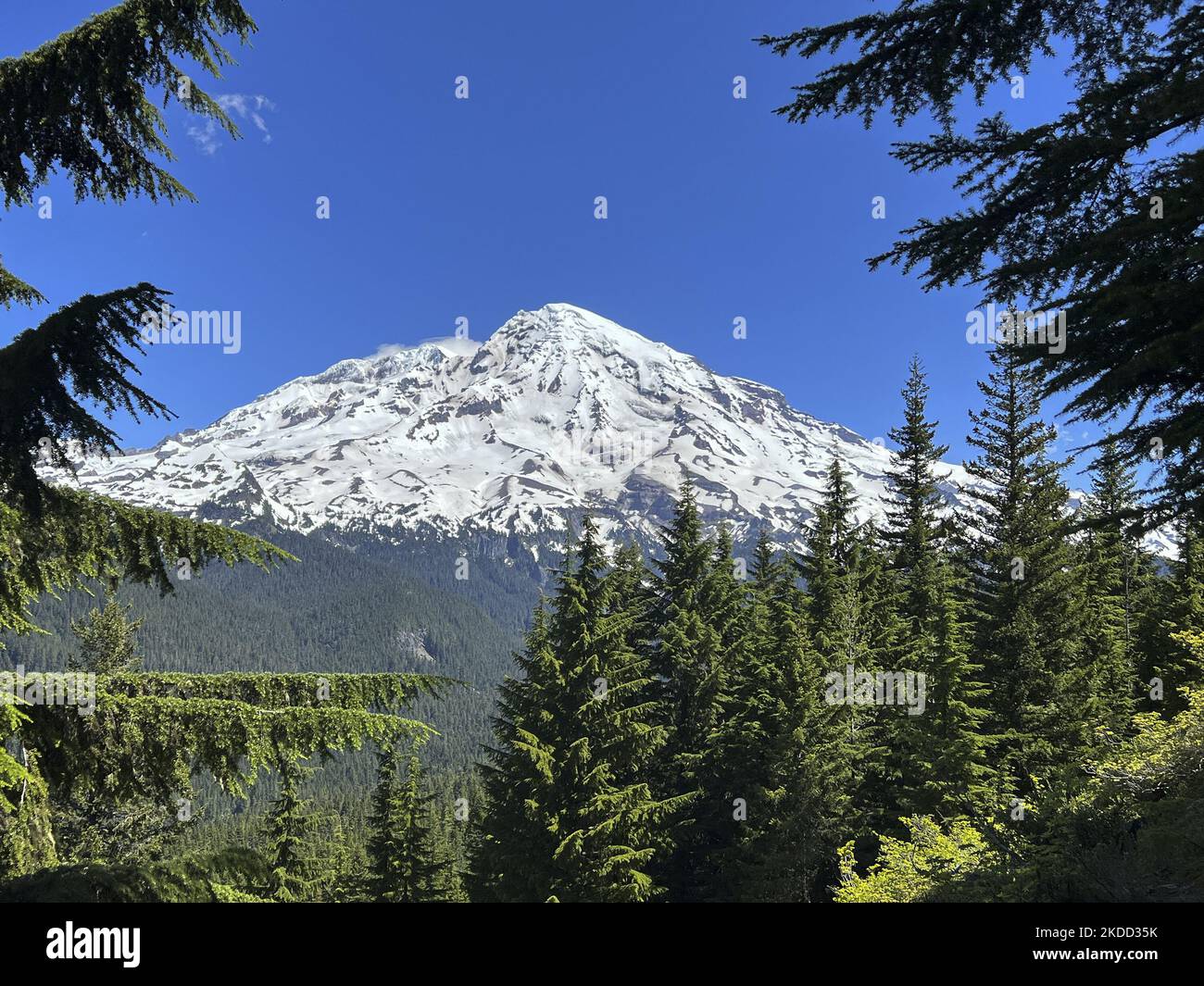 Mount Rainier viewed from the Longmire Viewpoint on the Wonderland ...