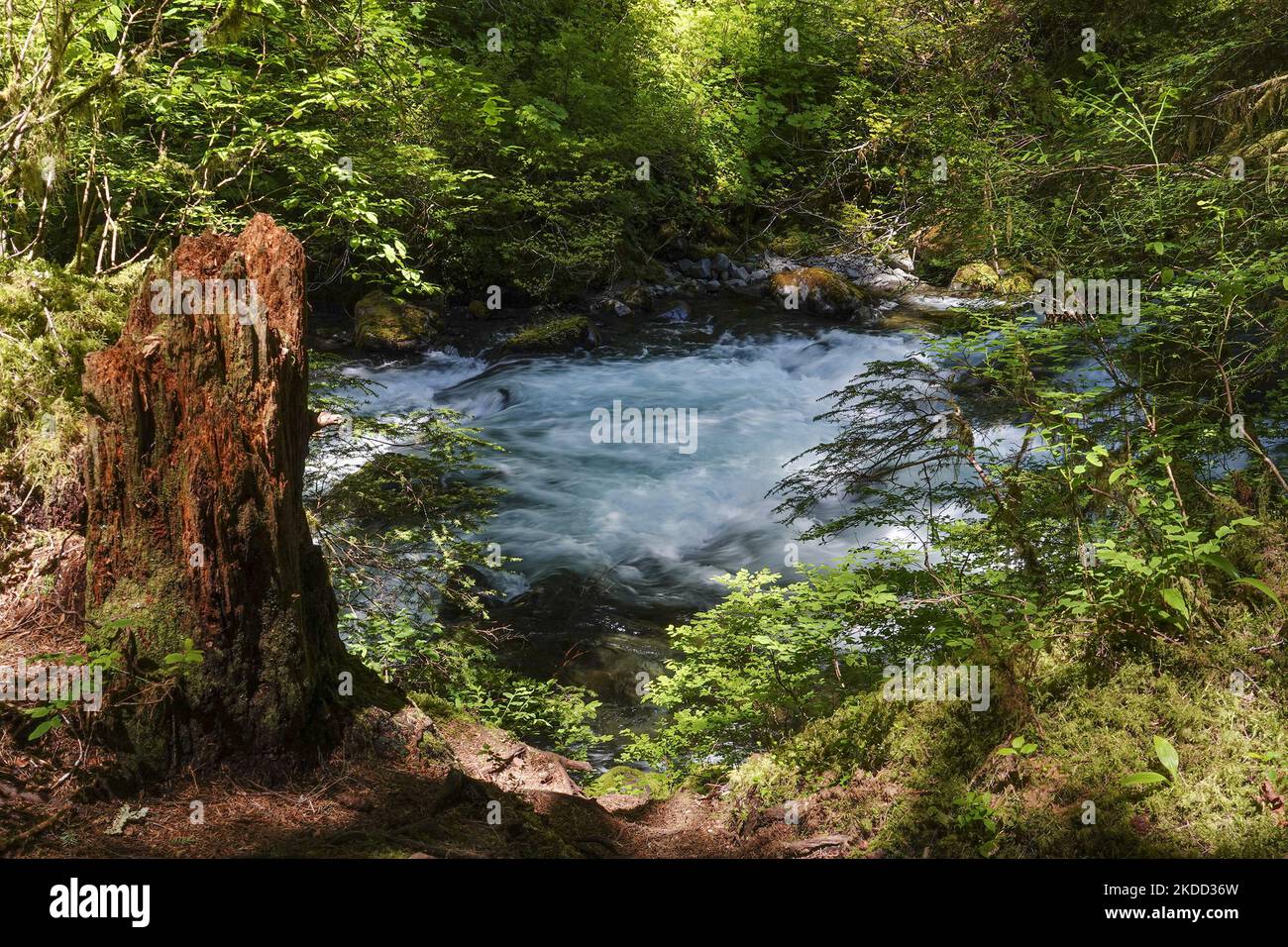 The Sol Duc River is the longest river on the Olympic Peninsula shown ...