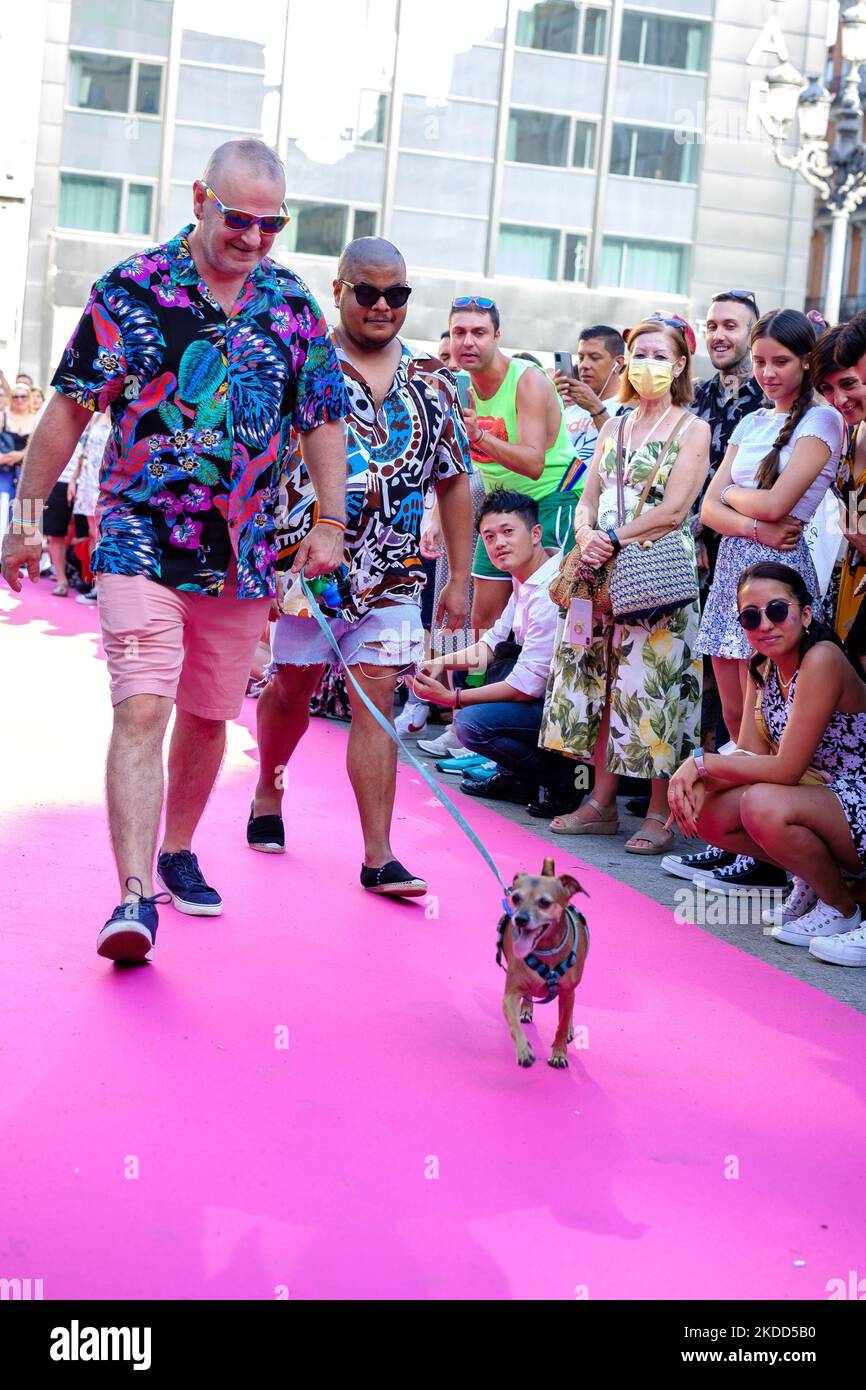 Great lgbtiq pride festival hi-res stock photography and images - Alamy