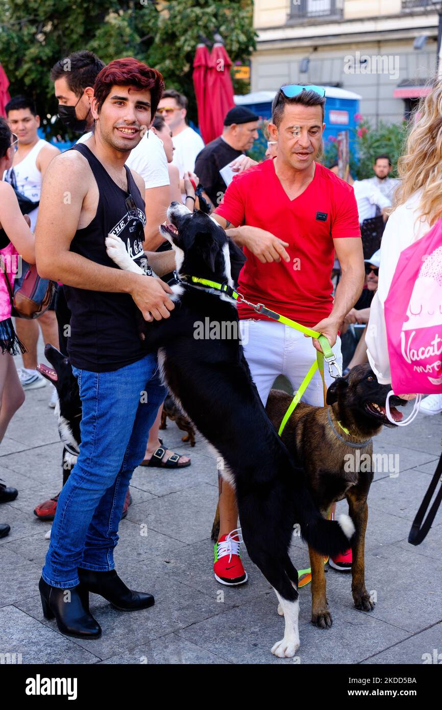 Great lgbtiq pride festival hi-res stock photography and images - Alamy
