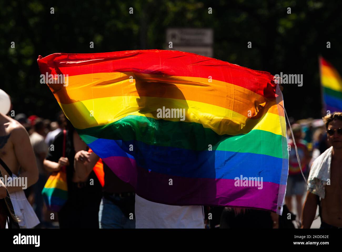 a member of LGBT community holds a rainbow flag during annual CSD pride ...