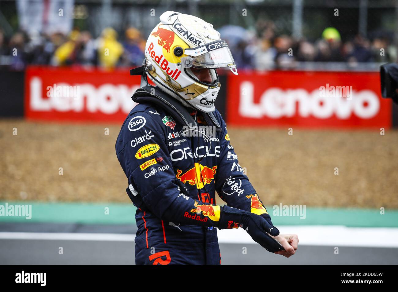 Max Verstappen, Oracle Red Bull Racing, portrait during the Formula 1 ...