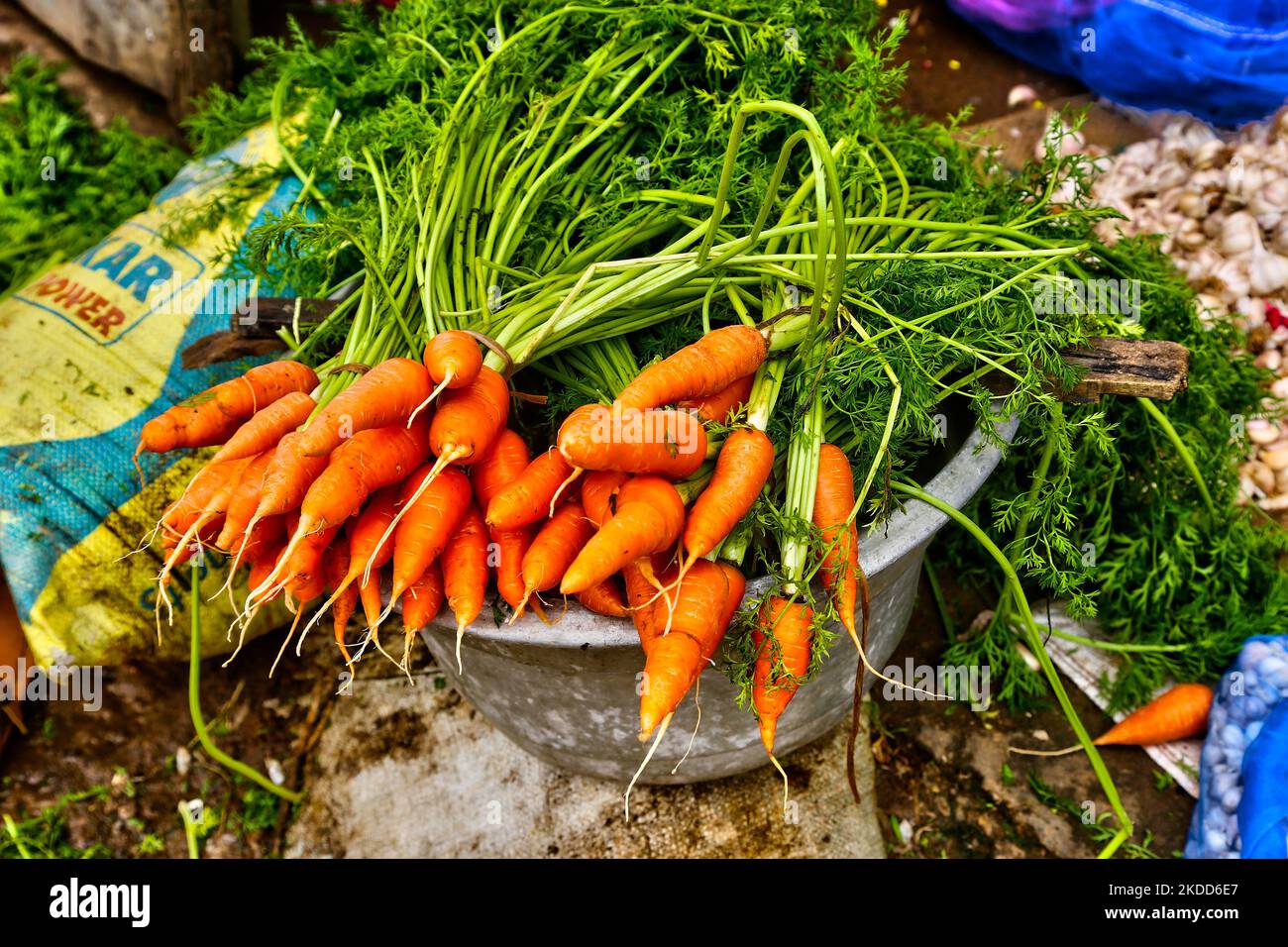 Fresh carrots for sale along the roadside in the Poombarai Village in ...