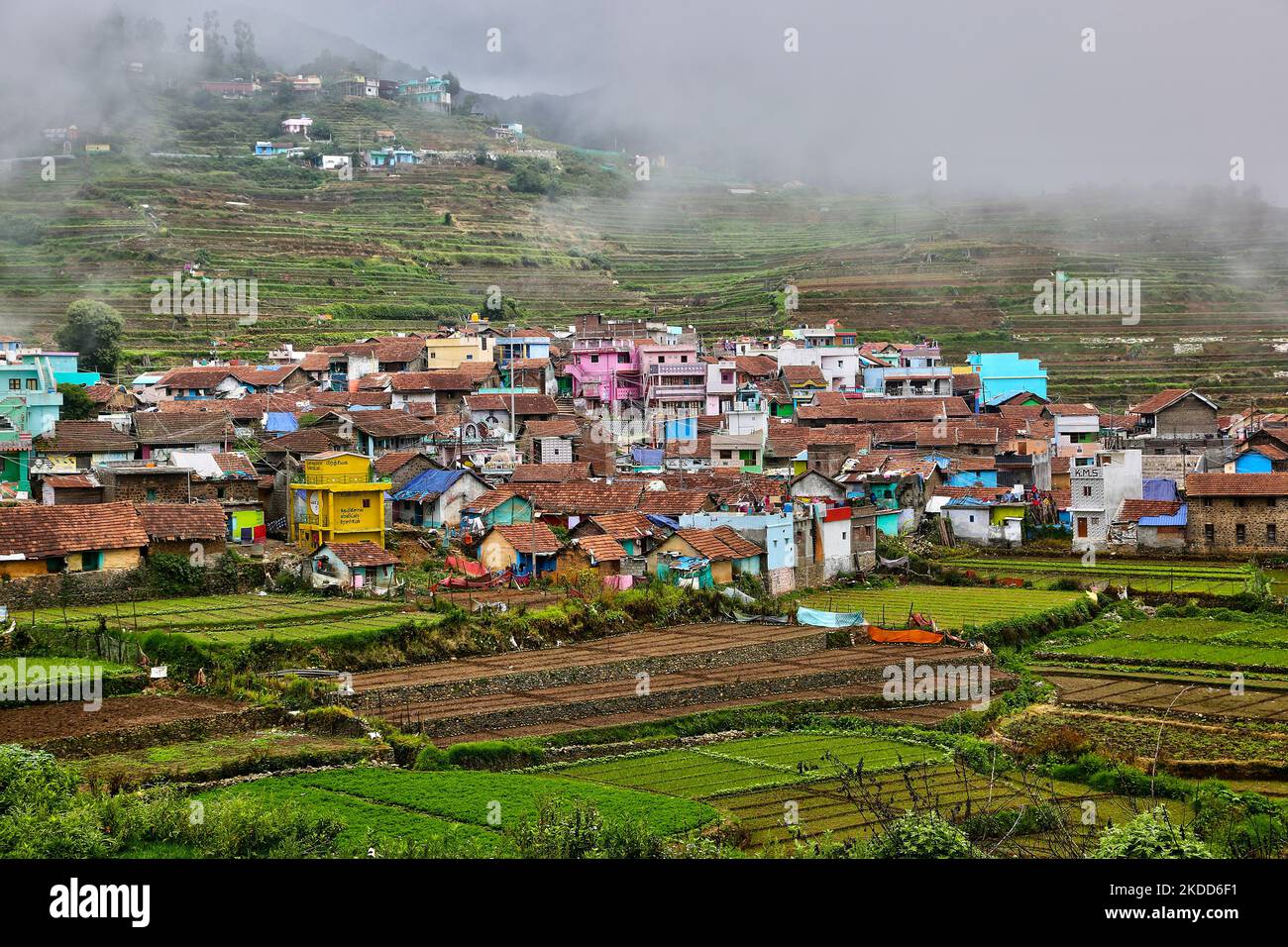 Farmland surrounding the Poombarai Village in Kodaikanal, Tamil Nadu ...