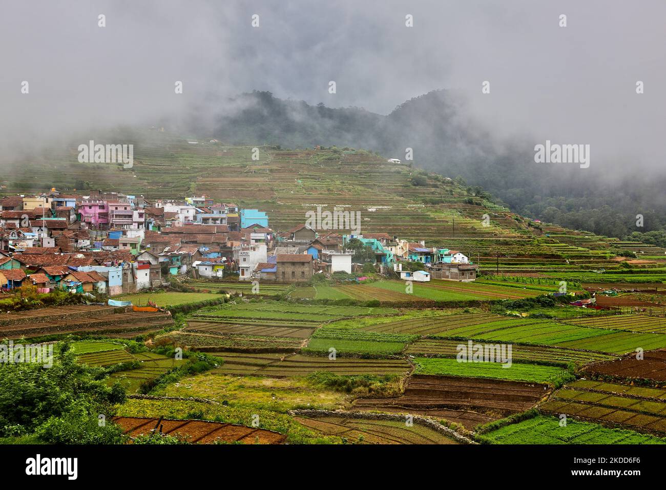 Farmland surrounding the Poombarai Village in Kodaikanal, Tamil Nadu ...