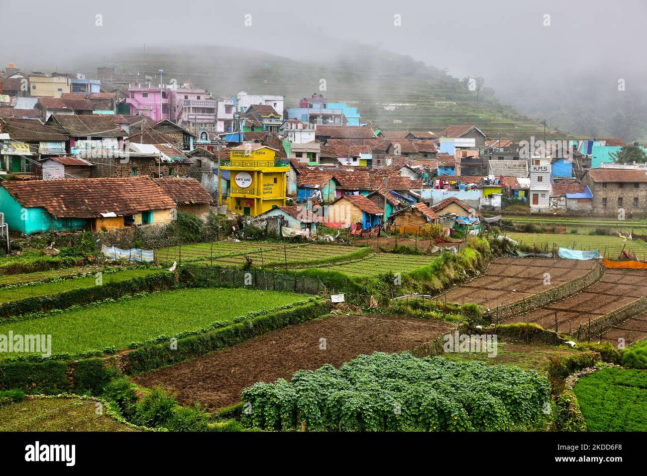 Farmland surrounding the Poombarai Village in Kodaikanal, Tamil Nadu ...