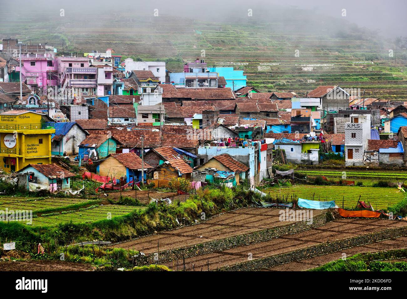 Farmland surrounding the Poombarai Village in Kodaikanal, Tamil Nadu ...