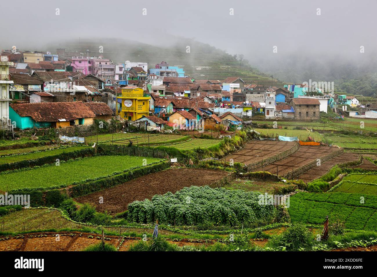 Farmland surrounding the Poombarai Village in Kodaikanal, Tamil Nadu ...