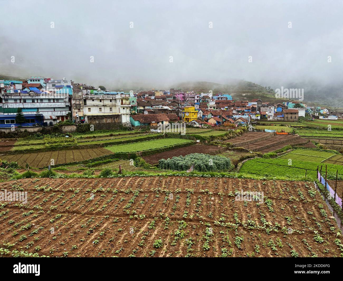 Farmland surrounding the Poombarai Village in Kodaikanal, Tamil Nadu ...