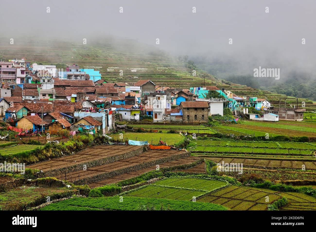 Farmland surrounding the Poombarai Village in Kodaikanal, Tamil Nadu ...