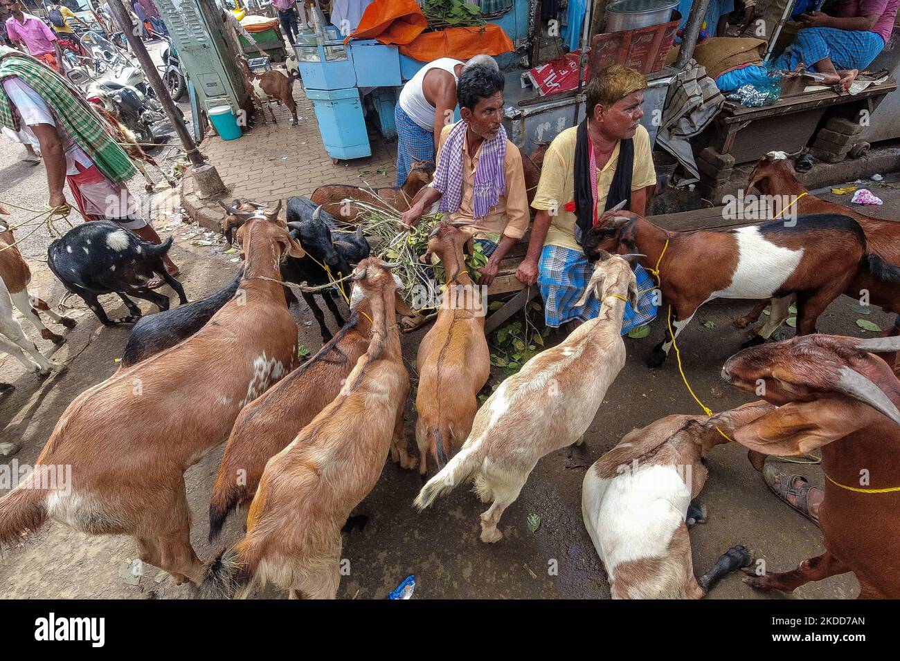 Bakra Eid 2022