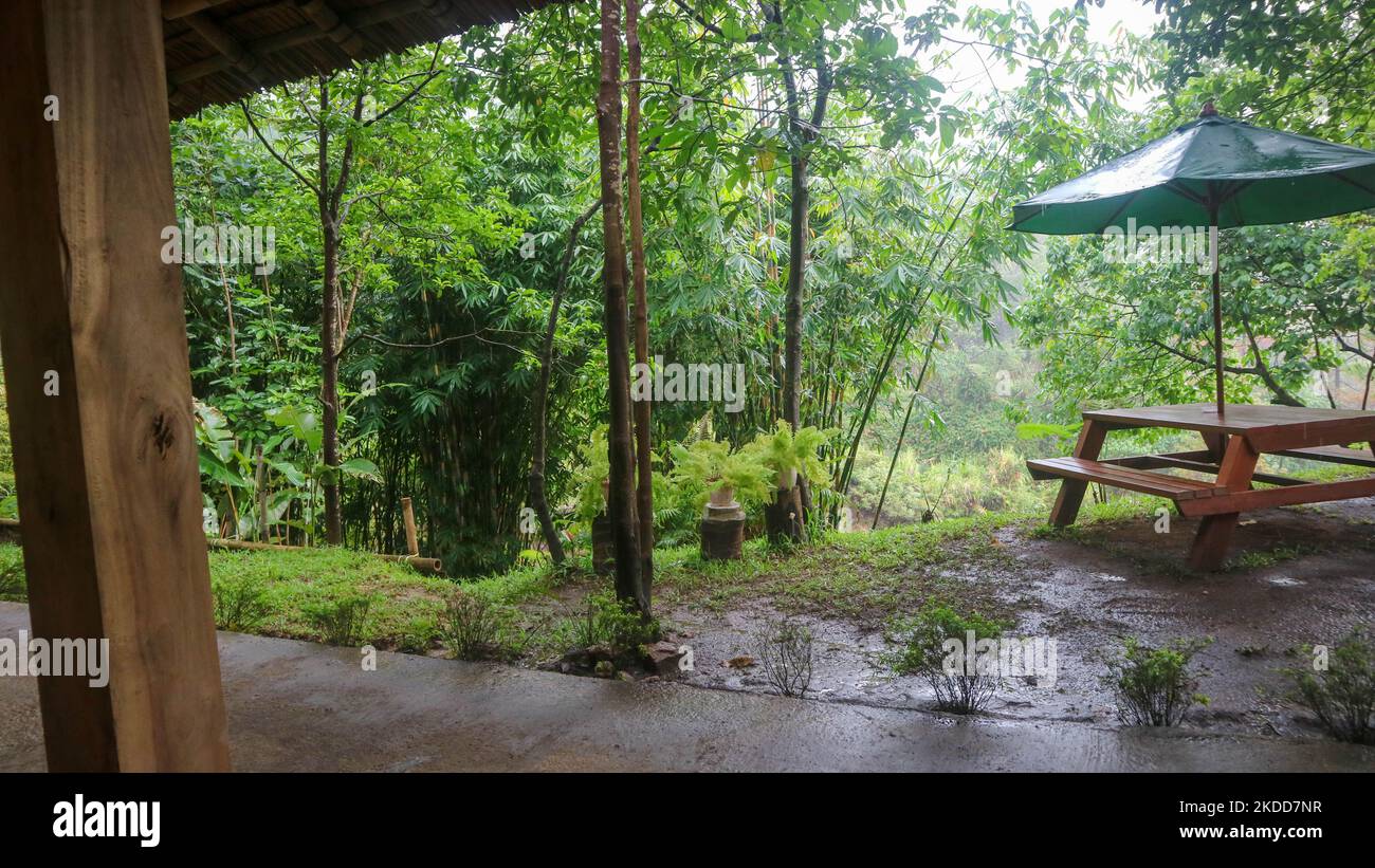 Wooden table with umbrella in the rain Stock Photo - Alamy