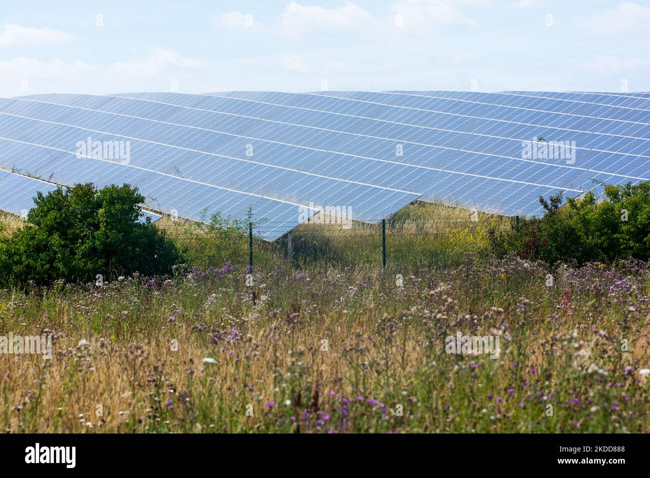 general view of Inden Solar park is seen at Solarpark Inden in ...