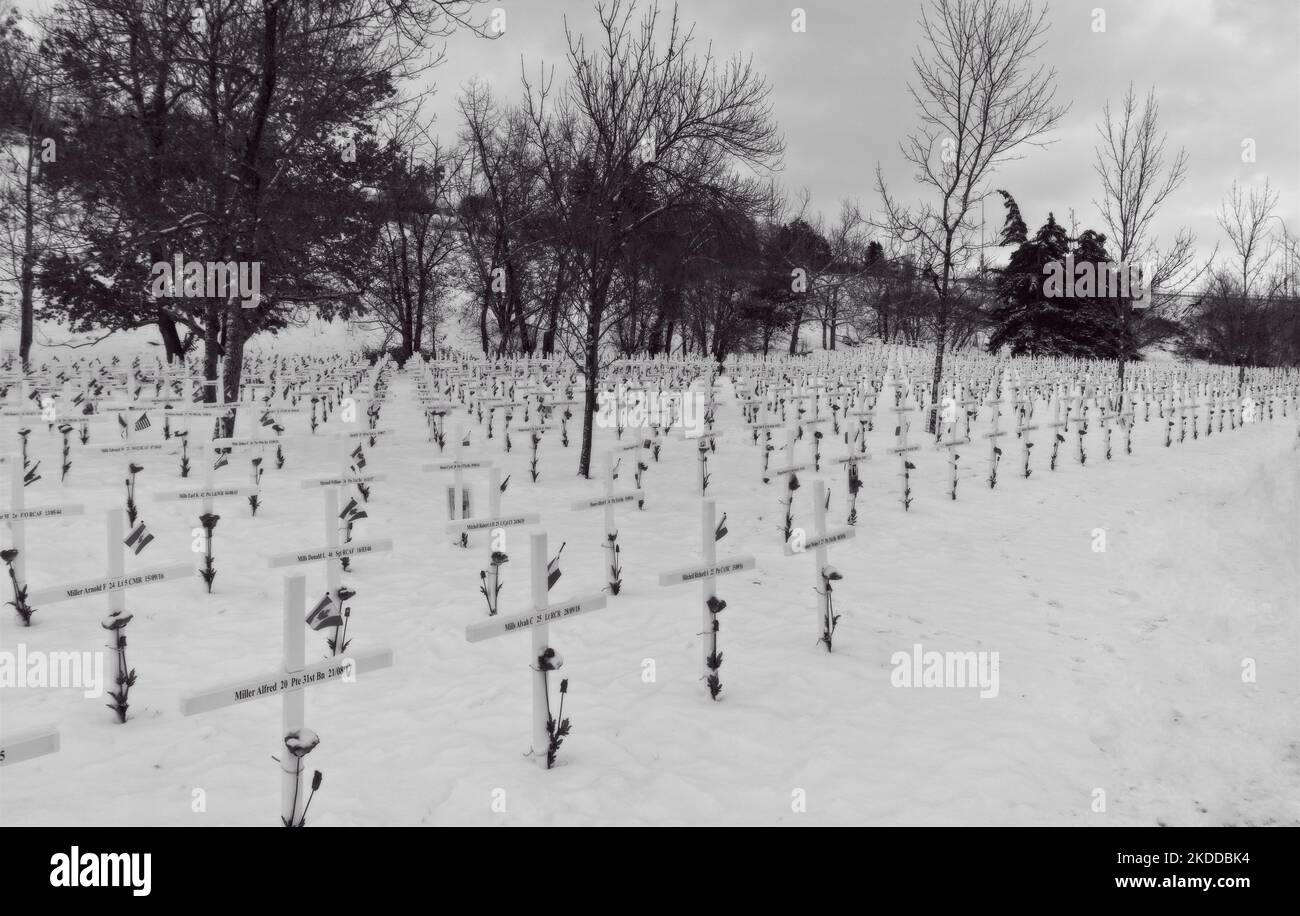 Remembrance Day Calgary Alberta Stock Photo - Alamy