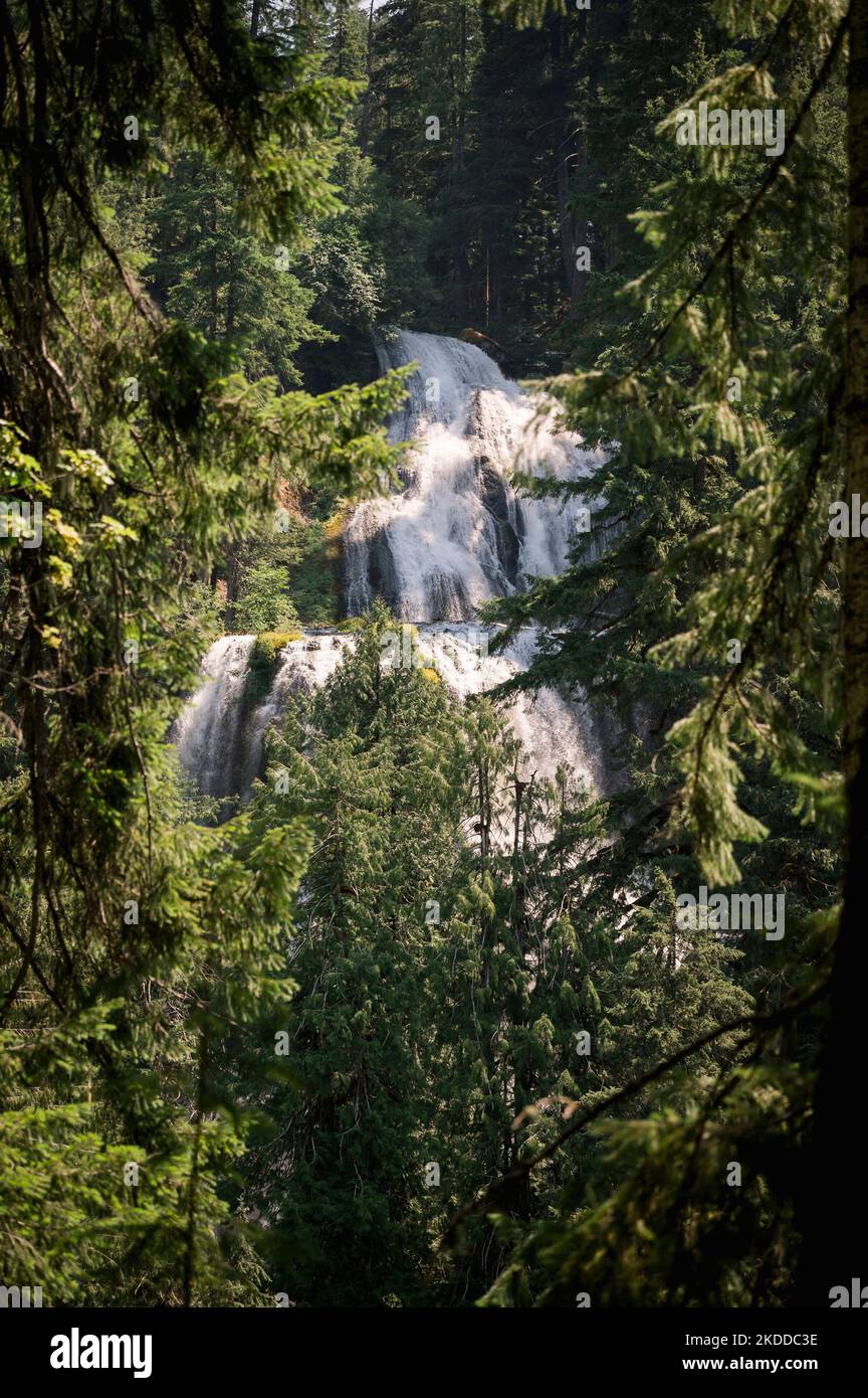 A high cascading waterfall in the forest with trees, vertical shot ...