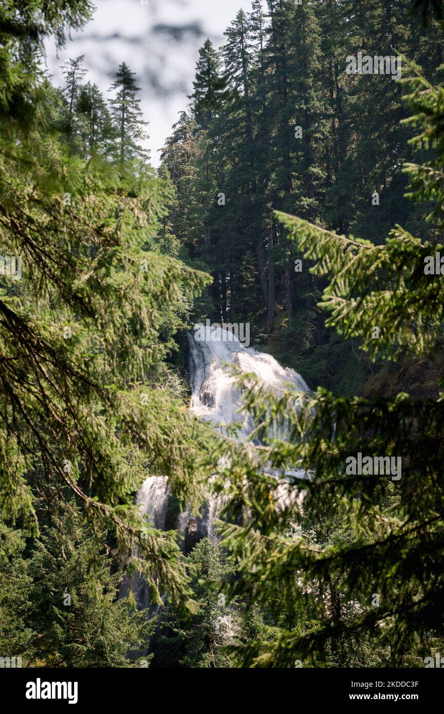 A high cascading waterfall in the forest with trees, vertical shot ...