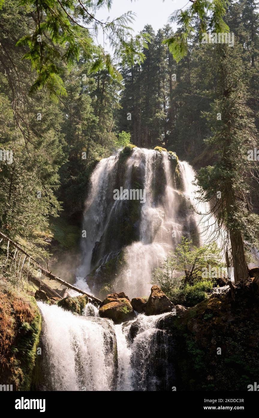 A high cascading waterfall in the forest with trees, vertical shot ...