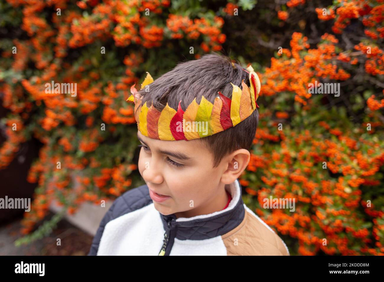boy wearing a crown made of natural materials, autumn crafts Stock ...