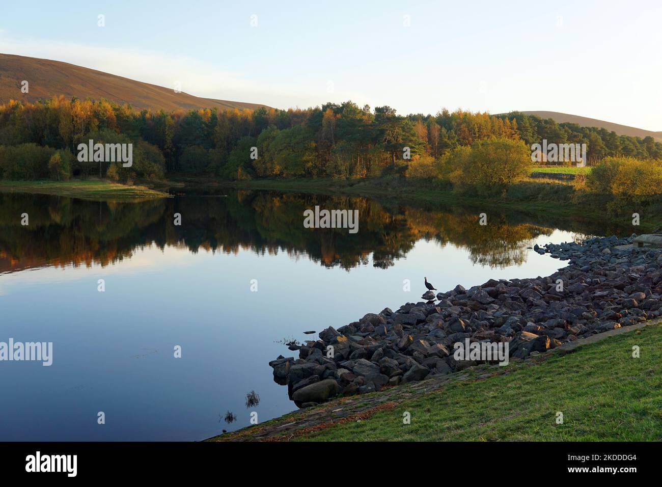 Harlaw reservoir Pentland hills Lothian Scotland Stock Photo - Alamy