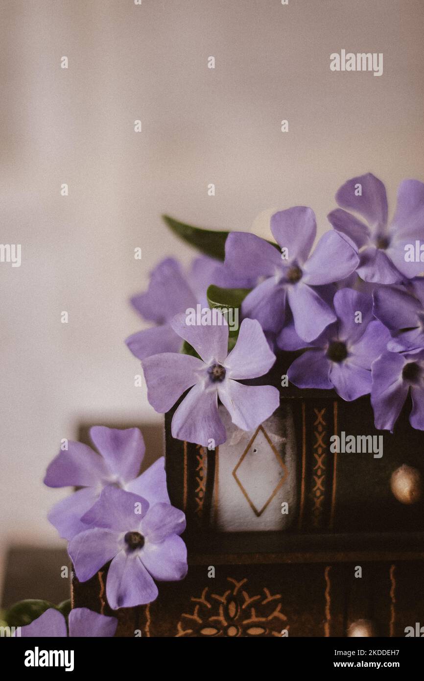 A vertical shot of an abandoned bouquet on vintage brown books Stock ...
