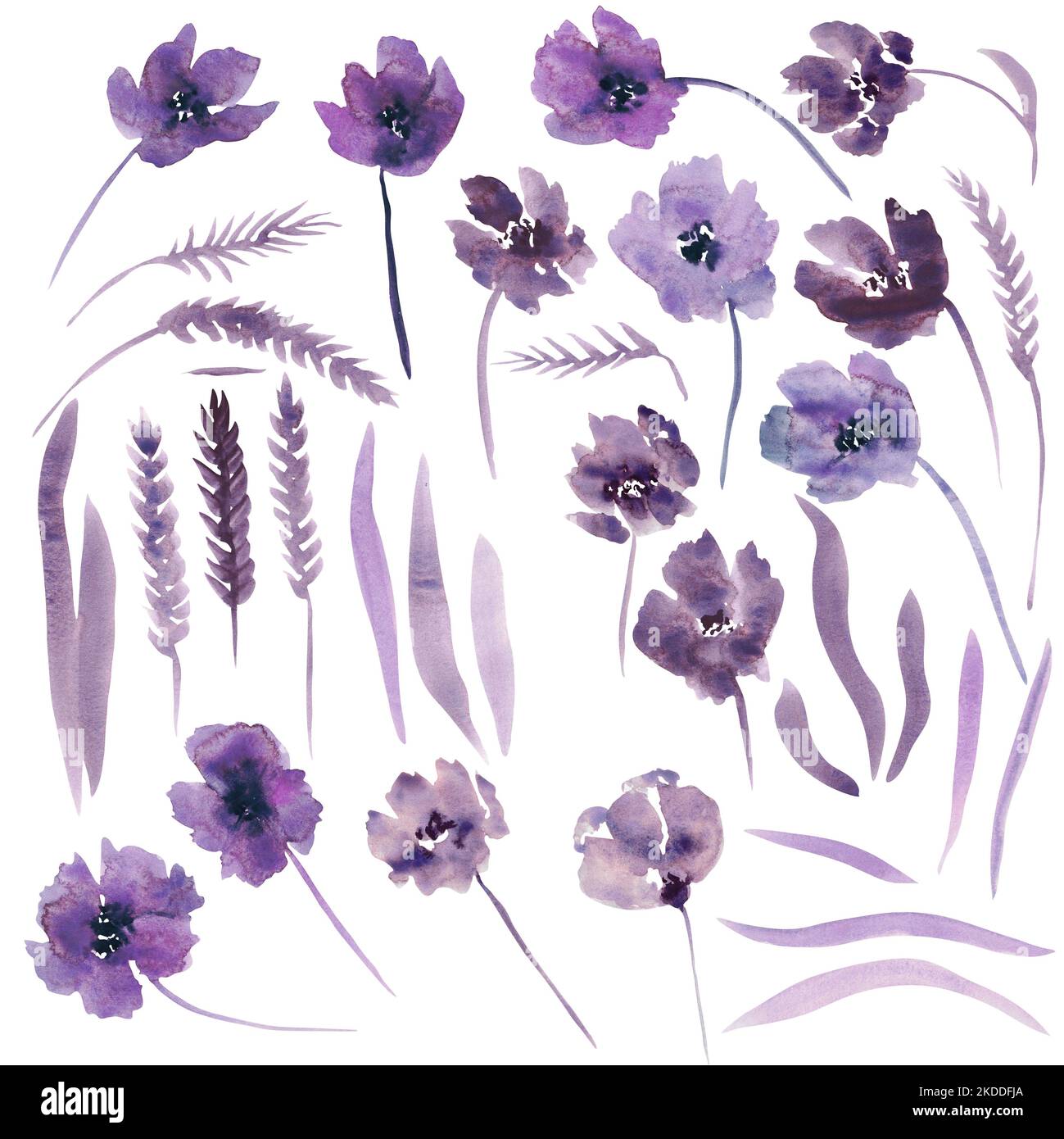 Wild Flowers Blooming Clipart
